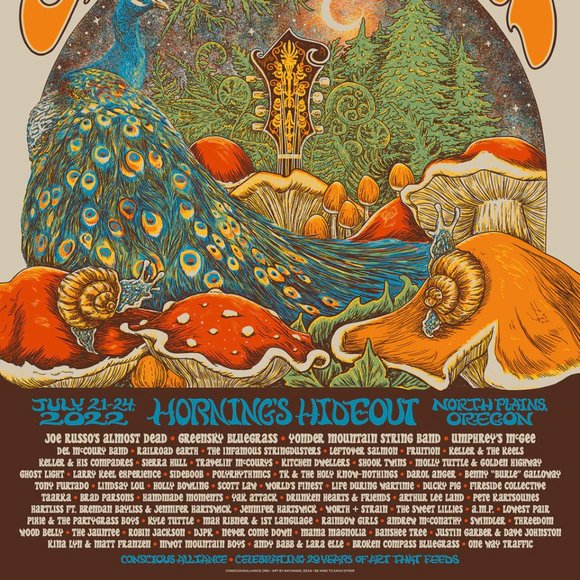 Art | Northwest String Summit 222 Poster | Poshmark